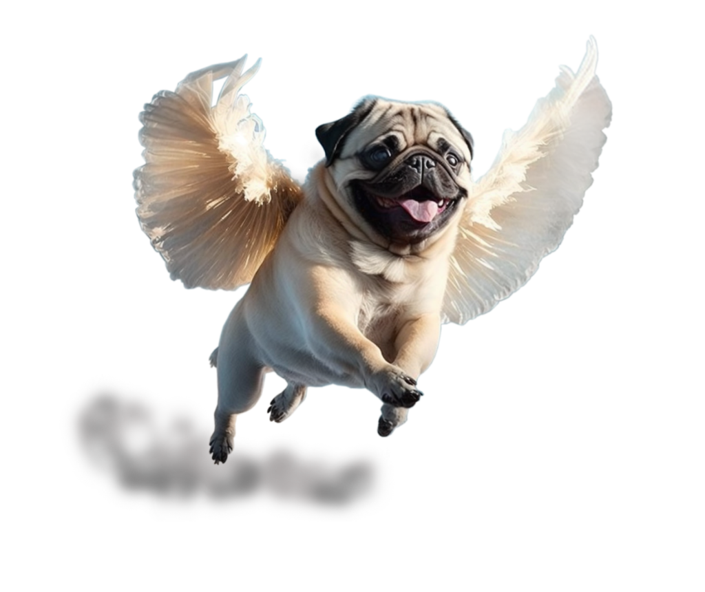 What is 1 to Many ABM (Programmatic ABM)? | Somebody Digital